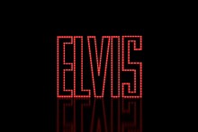 Elvis Presley Illustration Free Stock Photo - Public Domain Pictures