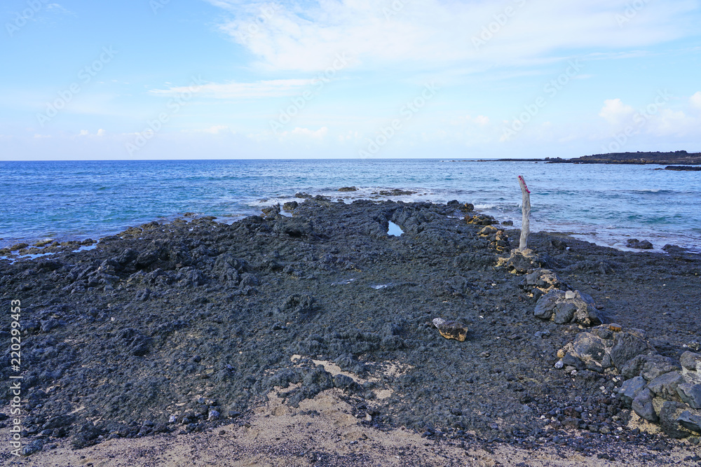 View of black lava rock and blue ocean at the Ahihi-Kinau Natural Area ...