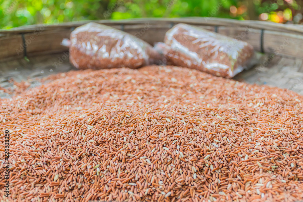 The soft blurred and soft focus surface texture dry method of red ...