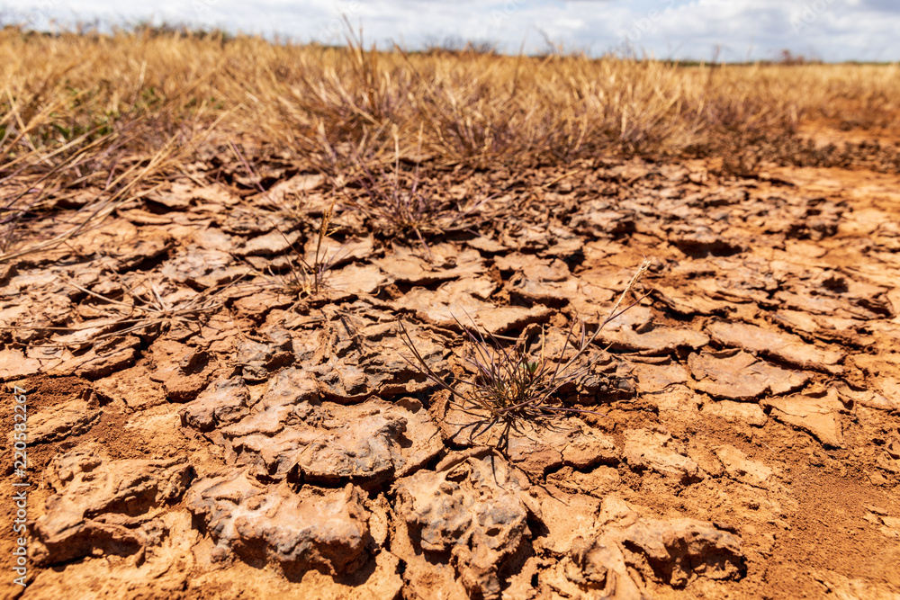 Foto de Stock Panama Desert, Parque Nacional de Sarigua, Desierto de ...