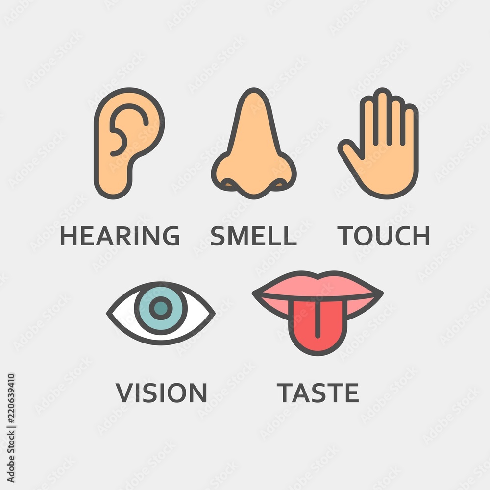 Sense organs flat vector icons Stock Vector | Adobe Stock