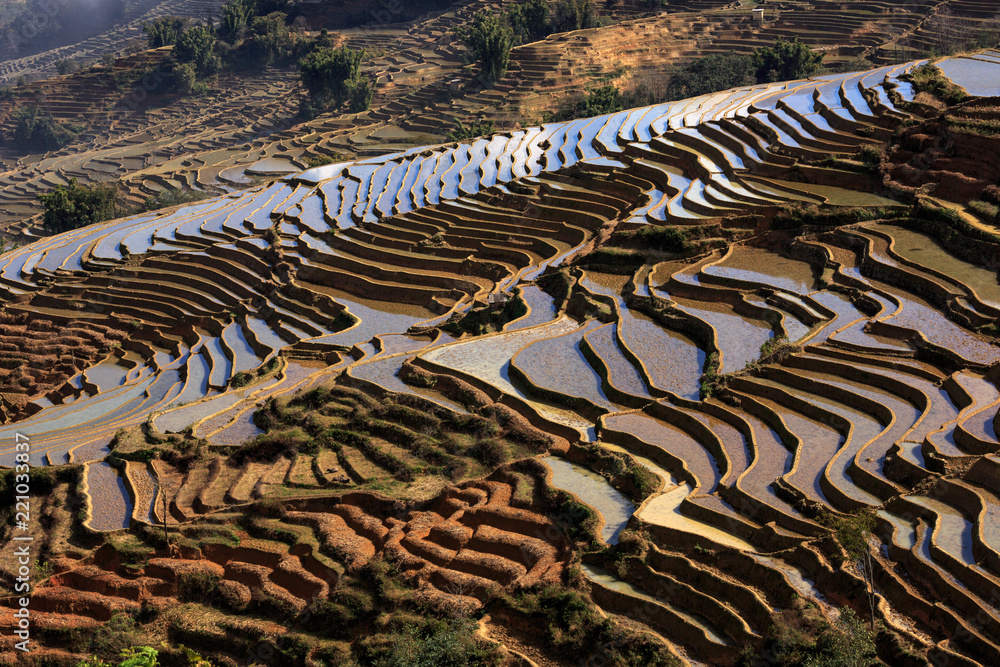 Irrigated Rice Terrace Fields in Yuanyang County - Yunnan Province ...