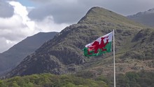 Welsh Flag Free Stock Photo - Public Domain Pictures