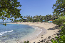 Turtle Bay Hawaii Beach Free Stock Photo - Public Domain Pictures