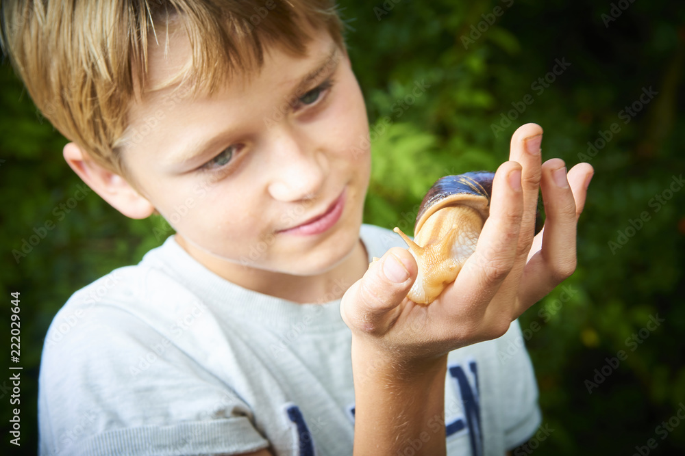 Child boy looking at giant snail on palm. Unusual home pet example ...