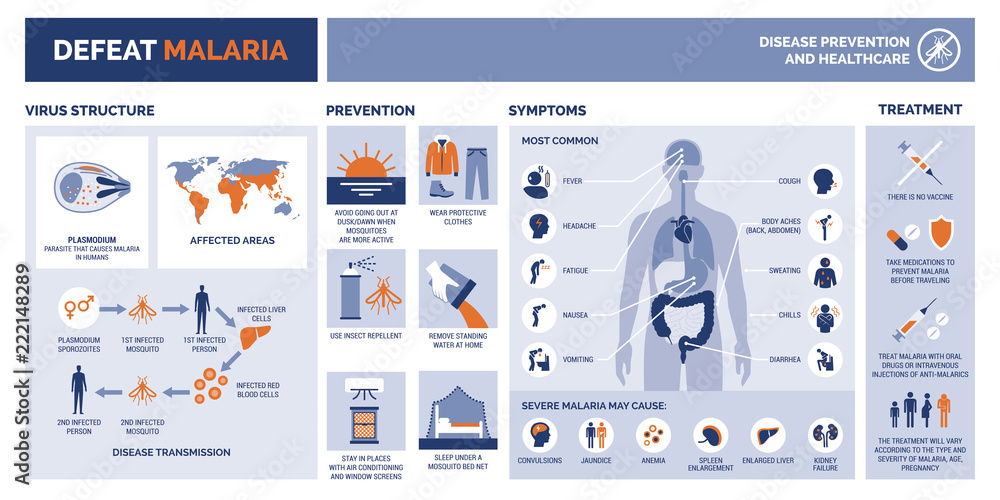 Defeat malaria infographic with symptoms and prevention Stock Vector ...