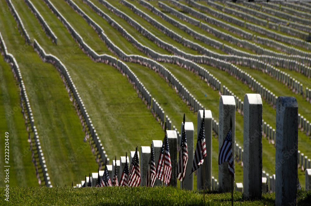 “The real price of war.” Hundreds of thousands of American flags are ...