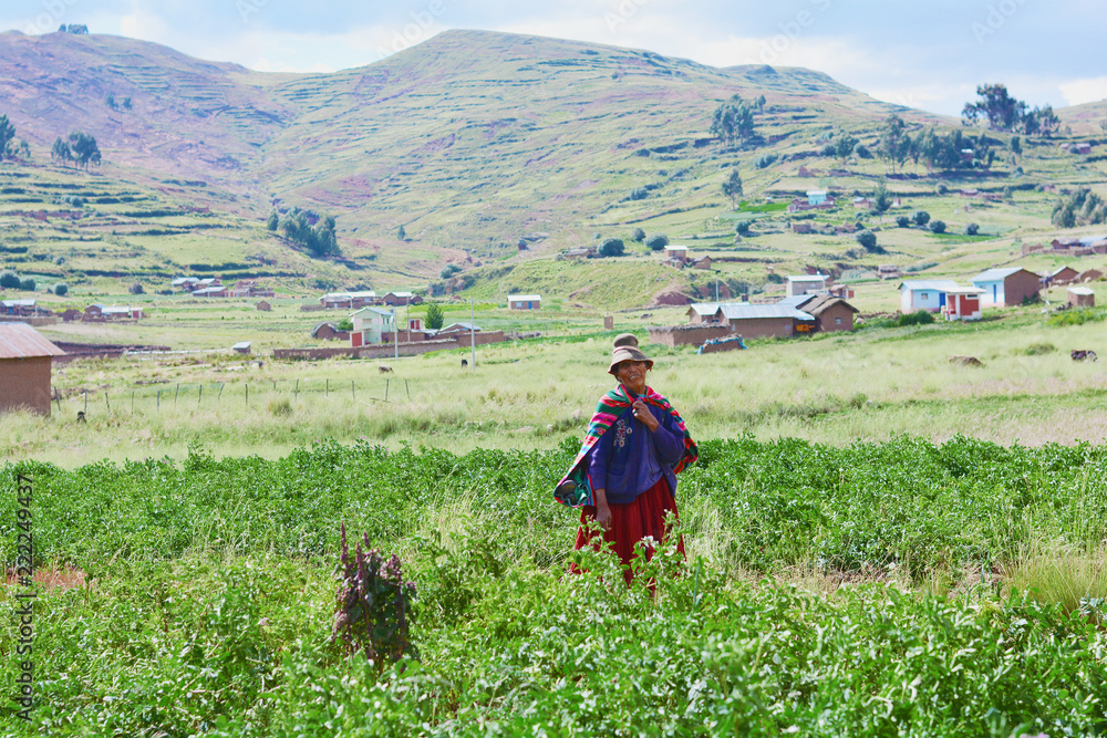 Native american old woman wearing typical aymara clothes stands on the ...