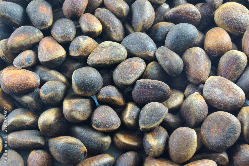 Pine nut seeds of Siberian pine, are used in food purified, extracted ...