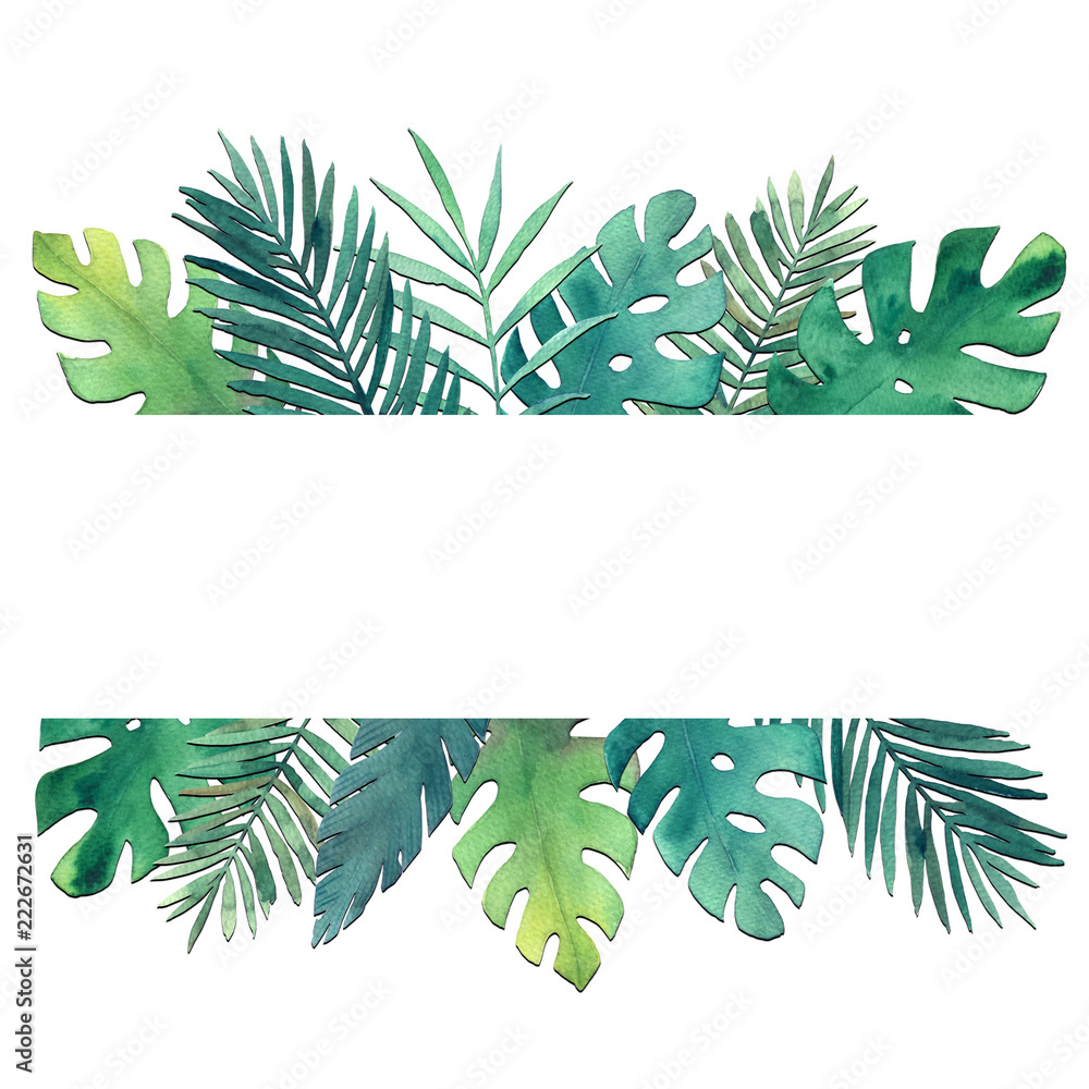 Exotic tropical palm tree. Frame border background. Summer hand drawn ...