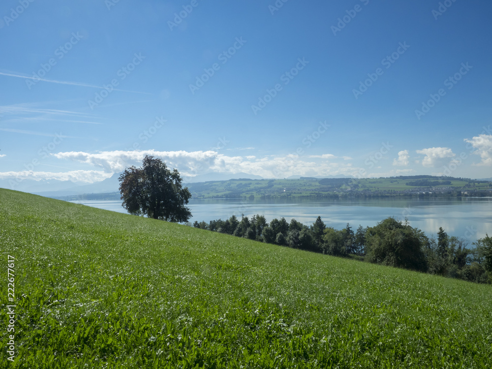 Foto de Stock Randonnée autour du lac de Sempach (Sempachersee) dans le ...