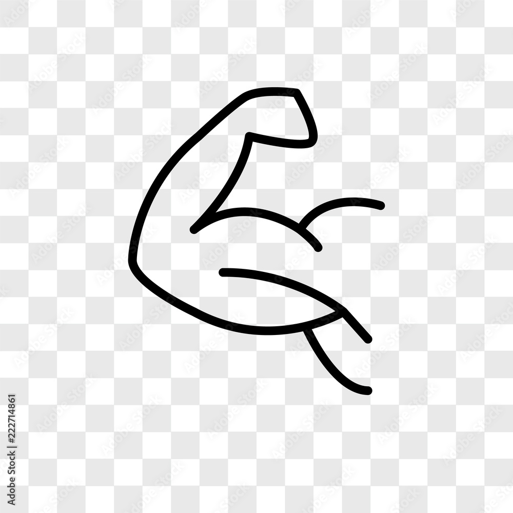 gym icons isolated on transparent background. Modern and editable gym ...