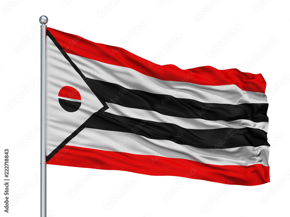 Stock-Illustration „Arapaho Nation Indian Flag On Flagpole, Isolated On ...