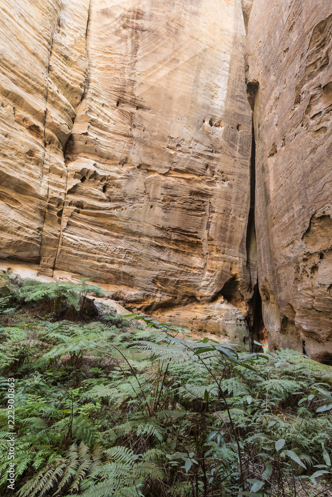 The Amphitheatre, a large sinkhole in the sandstone escarpment, at ...