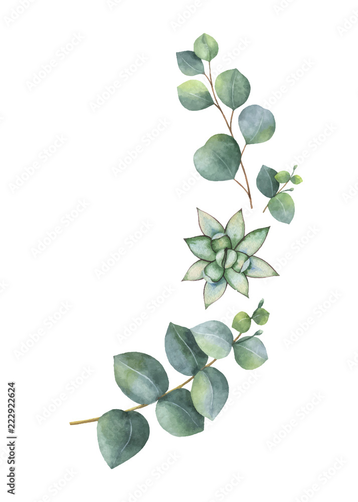 Watercolor vector wreath with eucalyptus leaves and succulents. Stock ...