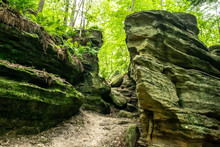 Jungle Boulders Free Stock Photo - Public Domain Pictures