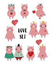 Cerdo Riendo Stock de Foto gratis - Public Domain Pictures