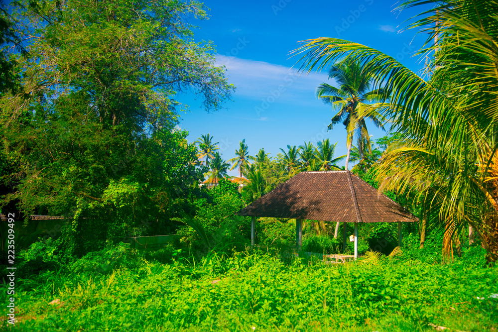 Landscape of the Bali island, Indonesia. Bali is an Indonesian island ...