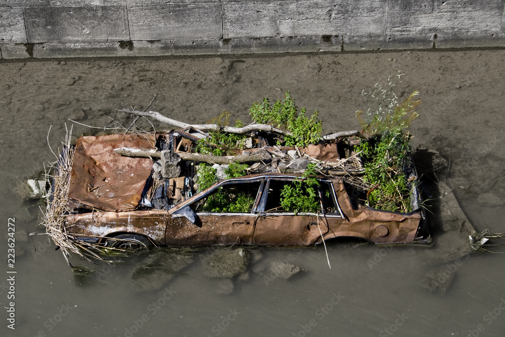 Rusting car with new life growing out of it in a canal Stock Photo ...