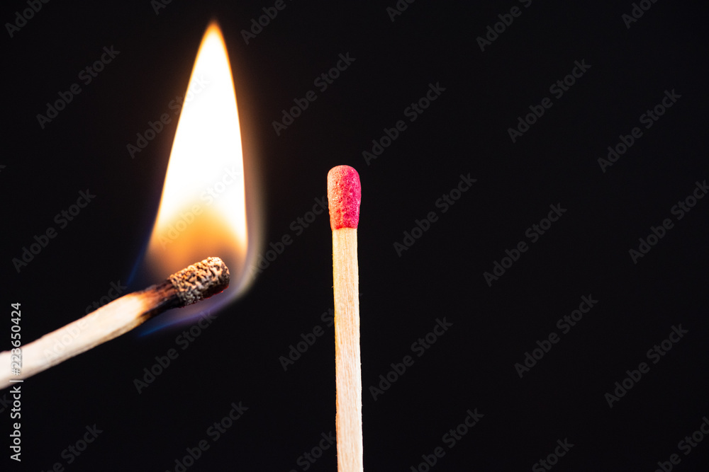 Lit match next to a row of unlit matches. The Passion of One Ignites ...