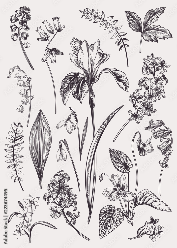 Set with spring flowers. Stock Vector | Adobe Stock