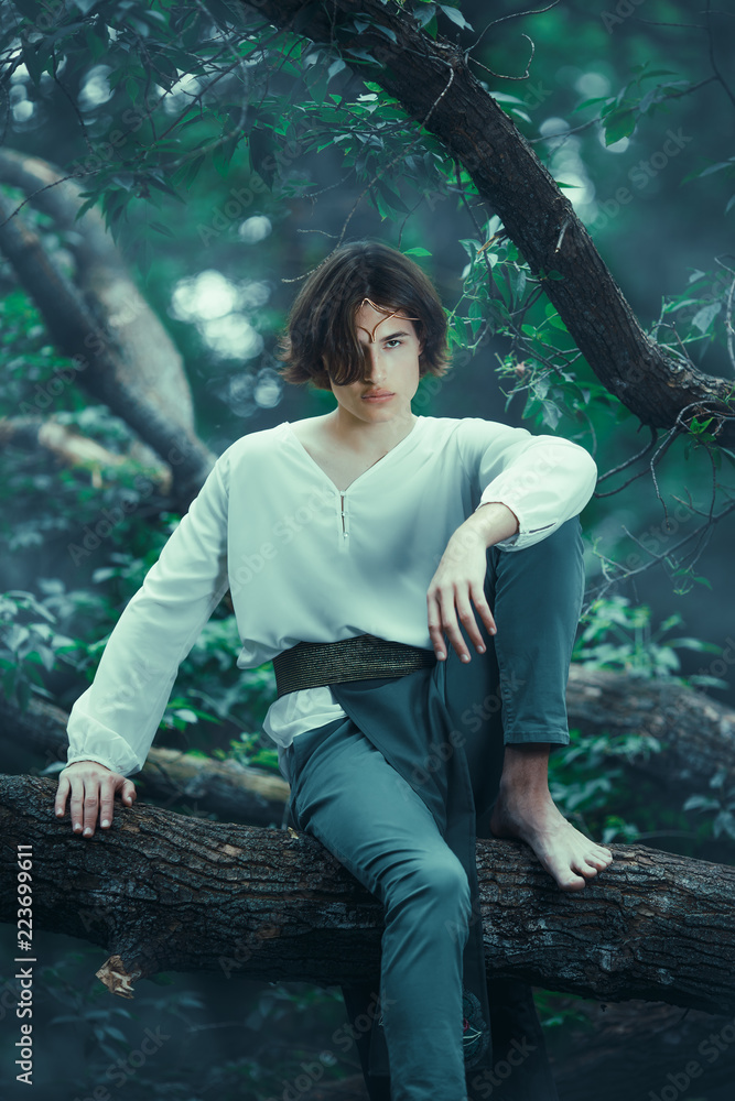 Portrait of handsome man with crown in forest sitting on branch of the ...