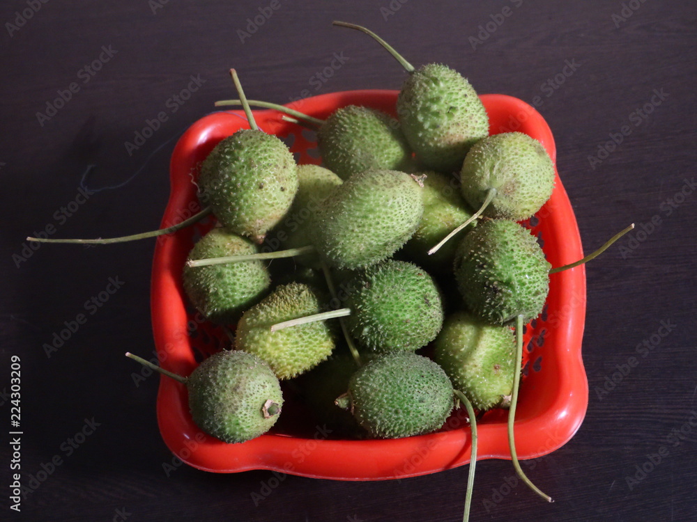 Photo Stock spiny gourd (Kantola),Spiny Gourd or Kantola vegetable ...