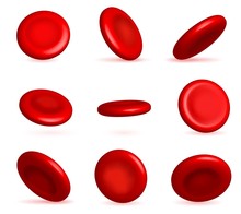 Erythrocyte Free Stock Photo - Public Domain Pictures