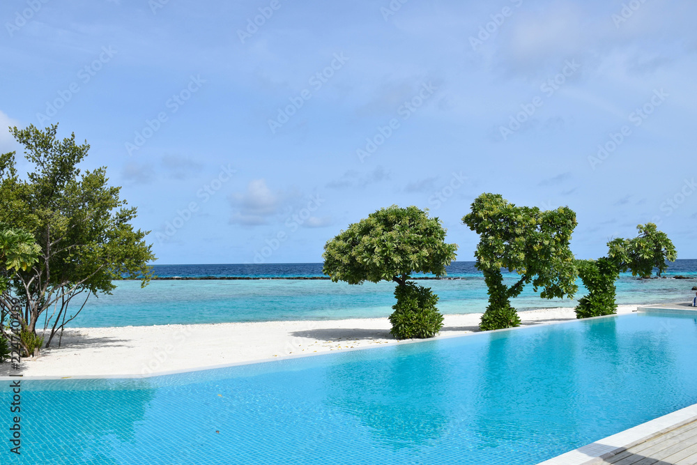 Blue infinity pool with unusual topiary and white sandy beach, next to ...