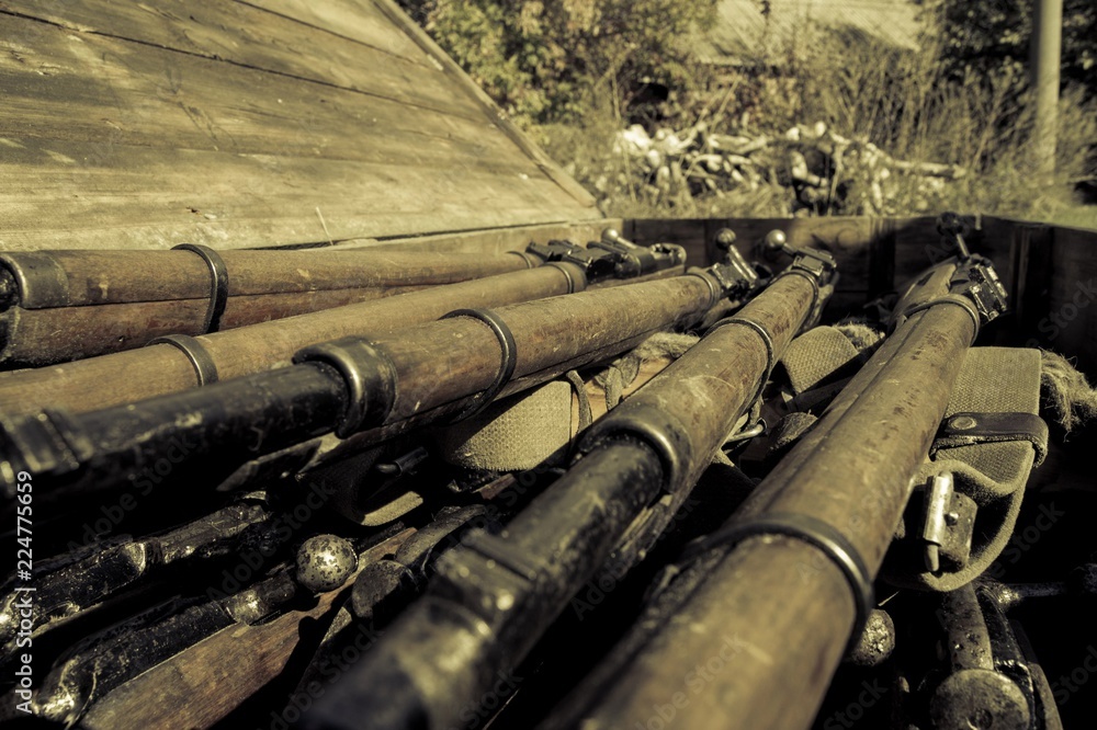 Mosin rifle Stock Photo | Adobe Stock