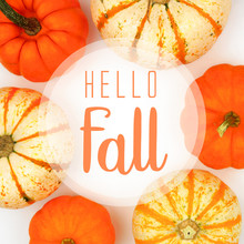 Hello Fall Free Stock Photo - Public Domain Pictures