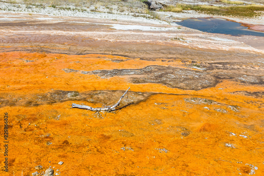 Brooks of bright orange color, flowing from a deep hot spring ...