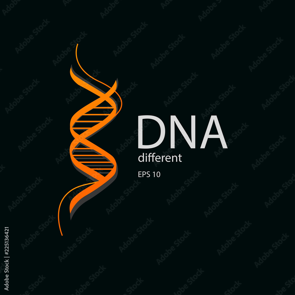 Human Dna spiral vector logo in orange color simplistic flat Stock ...