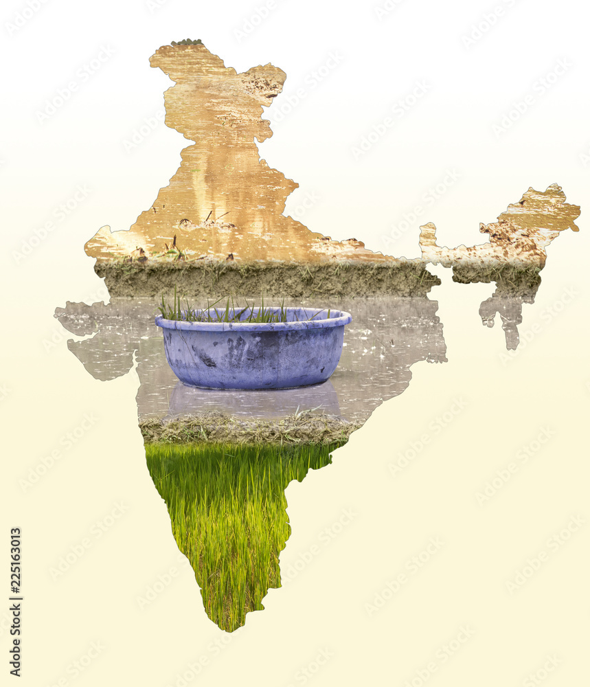 India map in agriculture field design on white gradient background ...