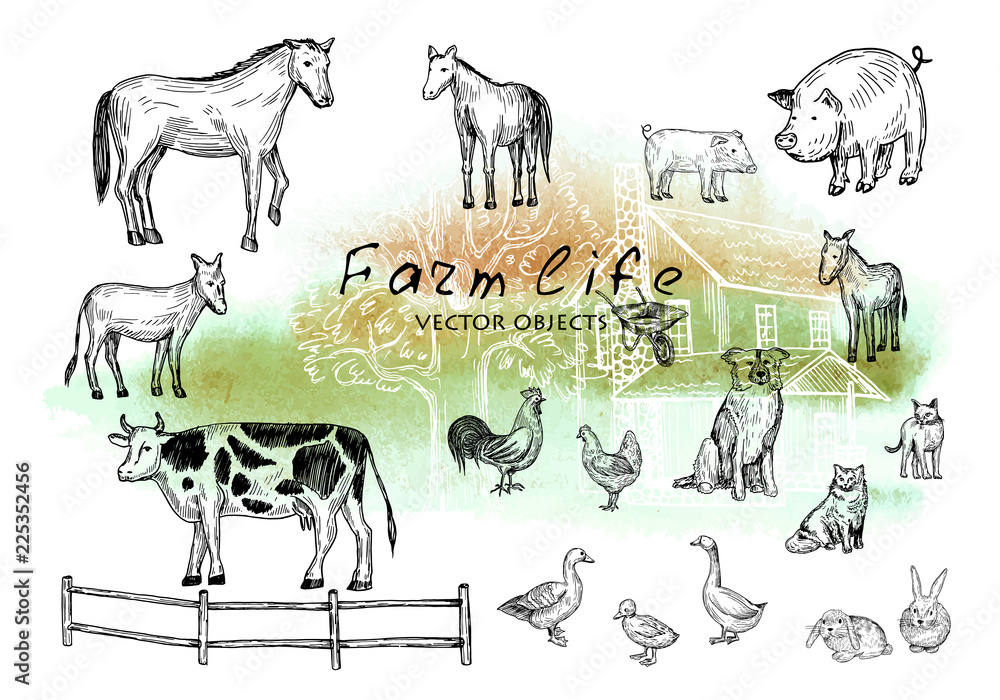 Vector illustration. Pen style drawn farm animals set: cow, horse ...