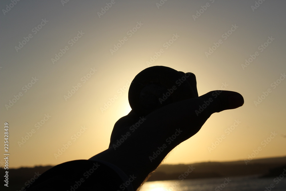 silhouette of man in the sunset tumblr Stock Photo | Adobe Stock