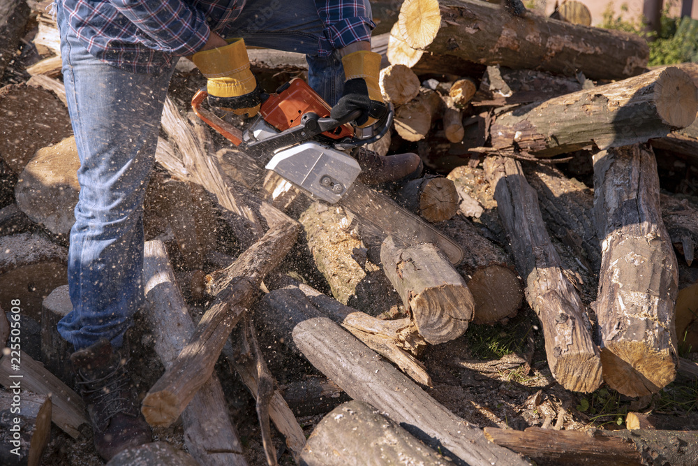 The worker works with a chainsaw. Chainsaw close up. Woodcutter saws ...