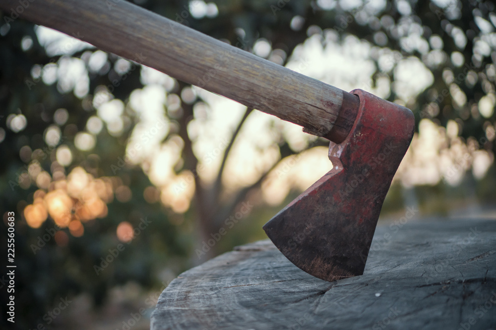 Axe stuck in a stump at sunset Stock Photo | Adobe Stock