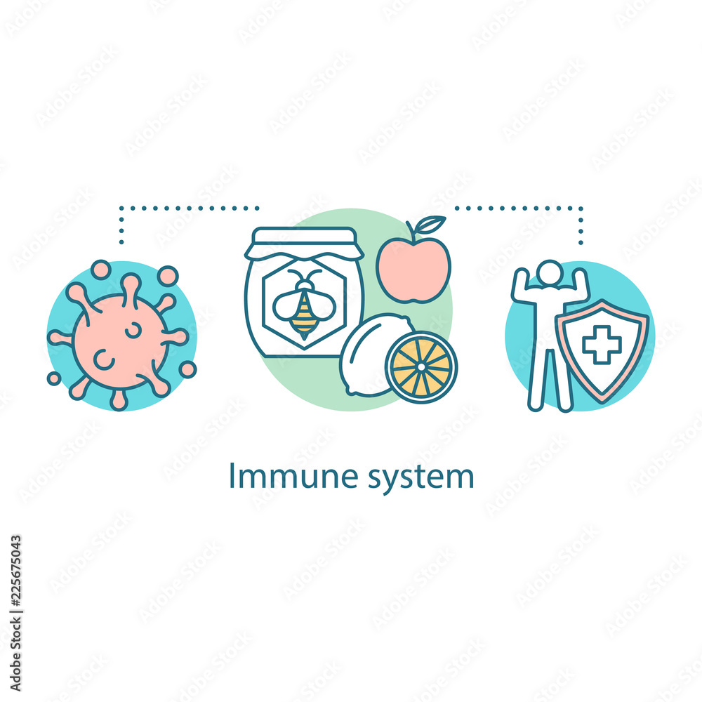 Immune system concept Stock Vector | Adobe Stock