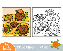 Tortoise Family Free Stock Photo - Public Domain Pictures