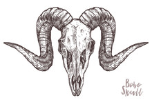 Steampunk Ram Skull Free Stock Photo - Public Domain Pictures