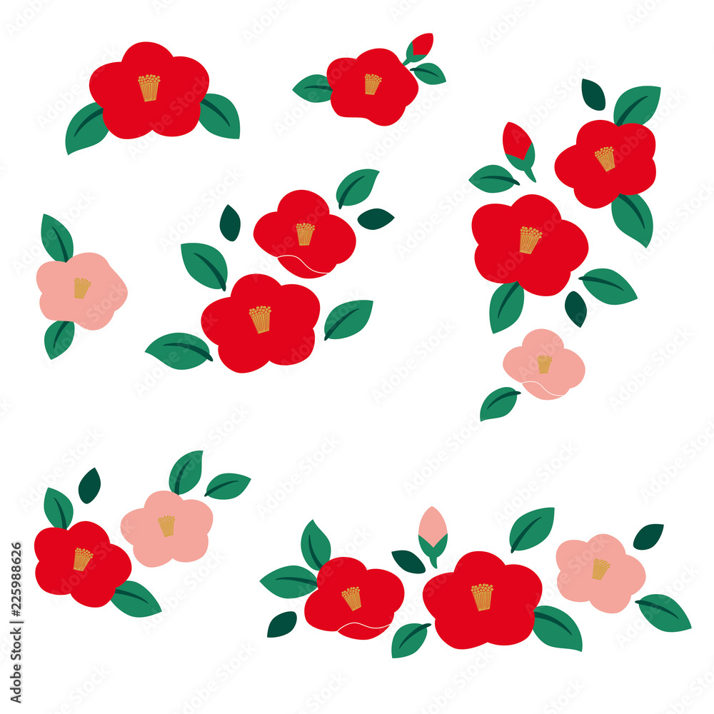 Camellia flower illustration set Stock Vector | Adobe Stock