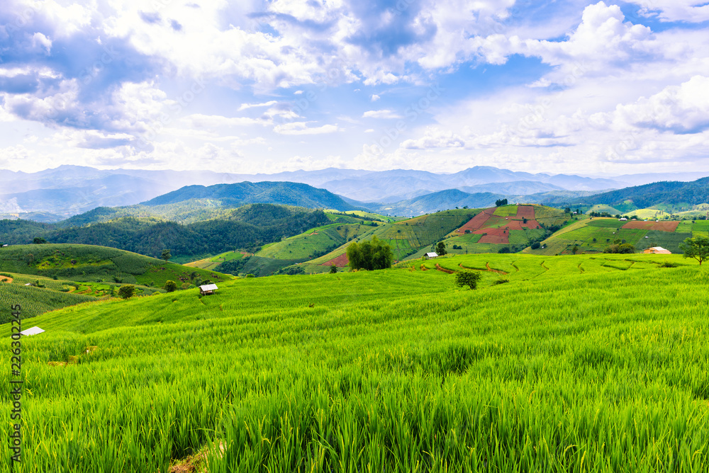 Small house and rice terraces field at pabongpaing village rice ...