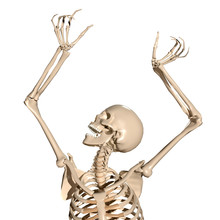 Cheering Skeleton Free Stock Photo - Public Domain Pictures