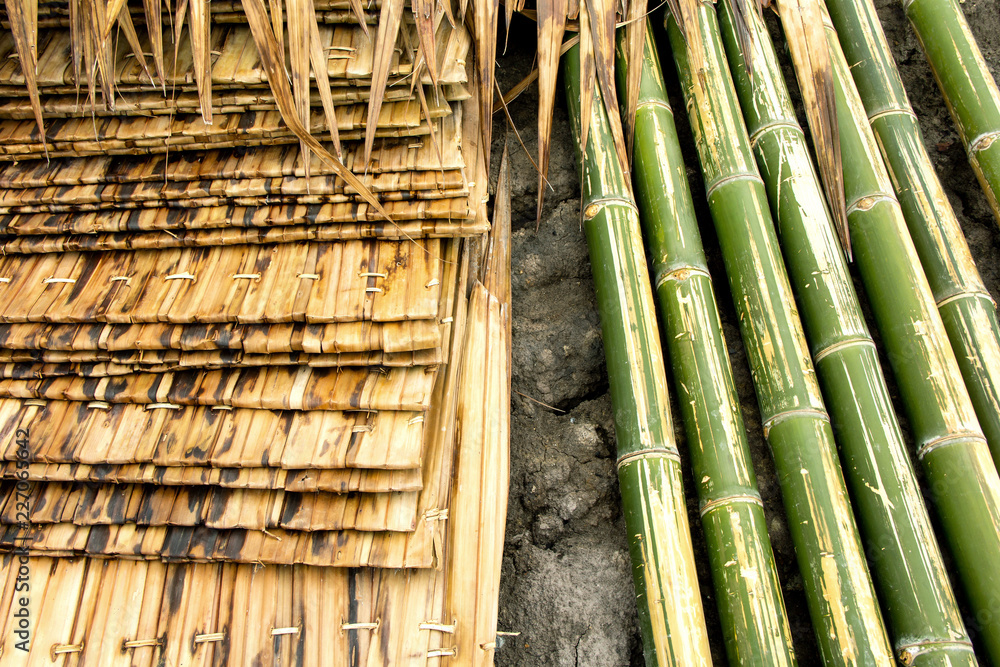 Bamboo and Roof from dried leaves of the nipa palm is natural Important ...