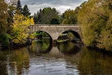 Rock Bridge And Fallen Tree In Fall Free Stock Photo - Public Domain ...