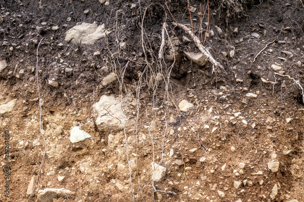 Layers of soil wet soil roots in soil soil profile soil zones rocks in ...