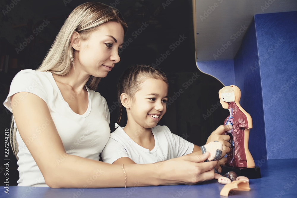 Female private tutor helping young student with homework at bioilogy ...