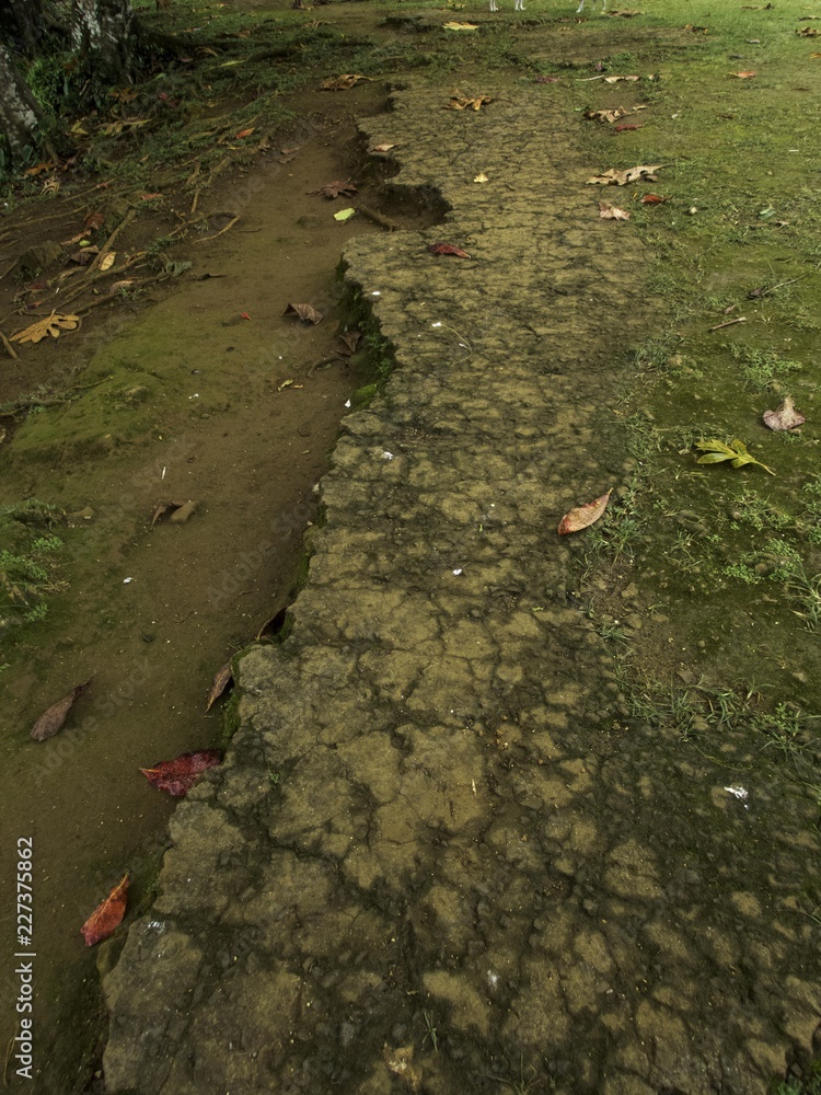 Remains of an old road built by the Japanese in the 1930s on Tonoas ...