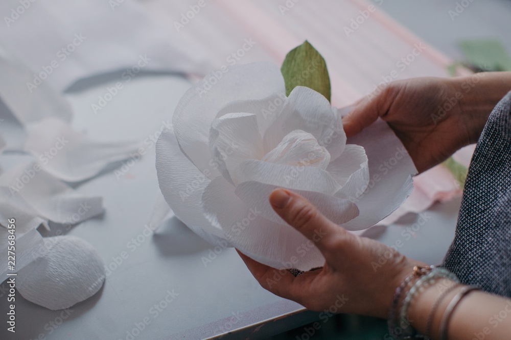 Crop hands creating beautiful paper flower Stock Photo | Adobe Stock
